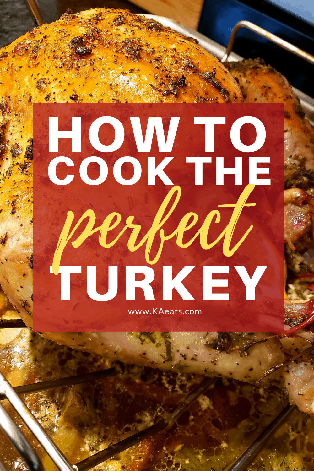 HOW TO COOK A ROASTED TURKEY - KA eats